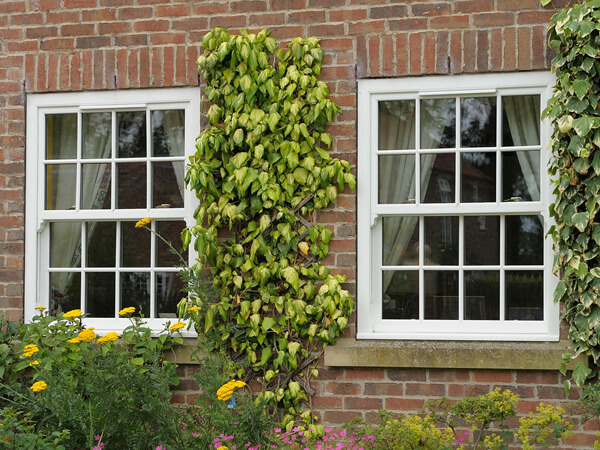 What Are Heritage Windows And Why Are They So Popular?